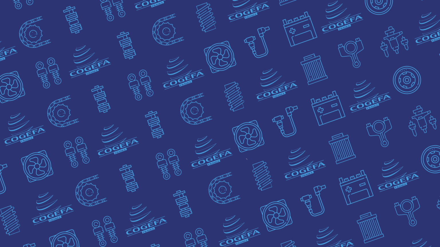 SPECIALIST IN AUTOMOTIVE SPARE PARTS - COGEFA France