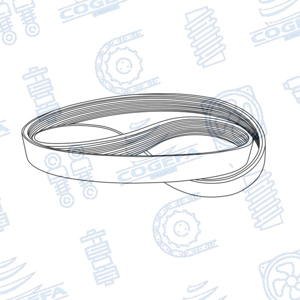 Poly V Belt - COGEFA France