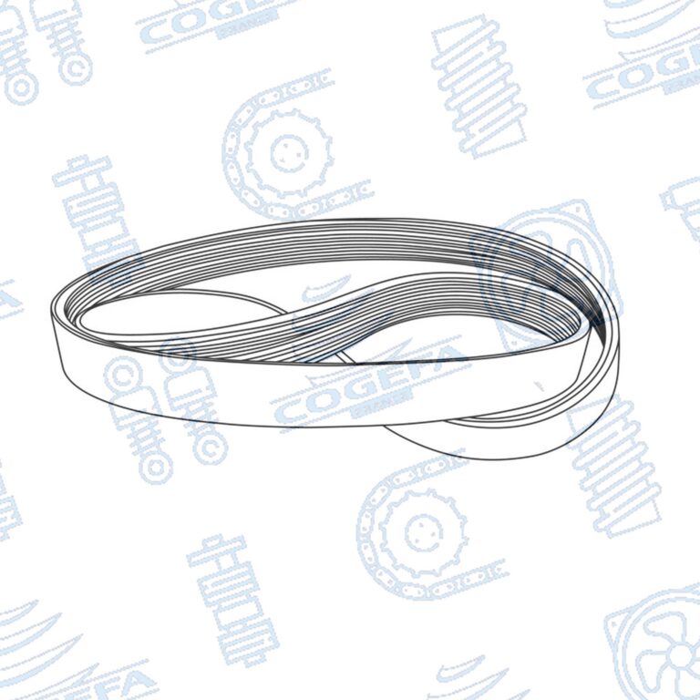 Poly V Belt - COGEFA France